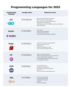 Best Programming Languages to Learn in 2023 - L33T digital agency